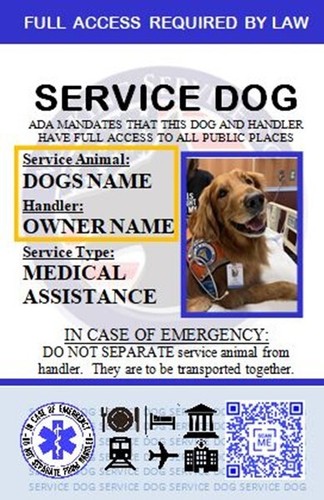 How To Get A Service Dog License
