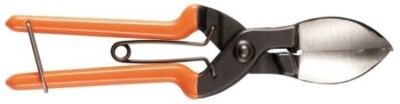 Japanese Garden Tool KIKUWA Pumpkin crop scissors 205mm 220g 1131 | eBay