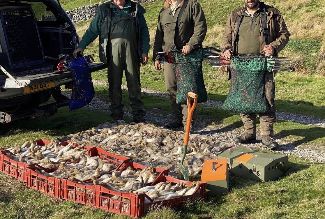 8z 25YRD HEAVY DUTY LONGNET COMPLETE BASKET SYSTEM RABBITING FERRETING ...