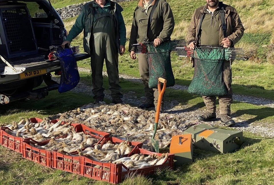 8z 25YRD HEAVY DUTY LONGNET COMPLETE BASKET SYSTEM RABBITING FERRETING ...