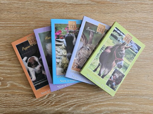 Animal Ark 5 Book Set Brand New And Unread 1997 Edition | eBay