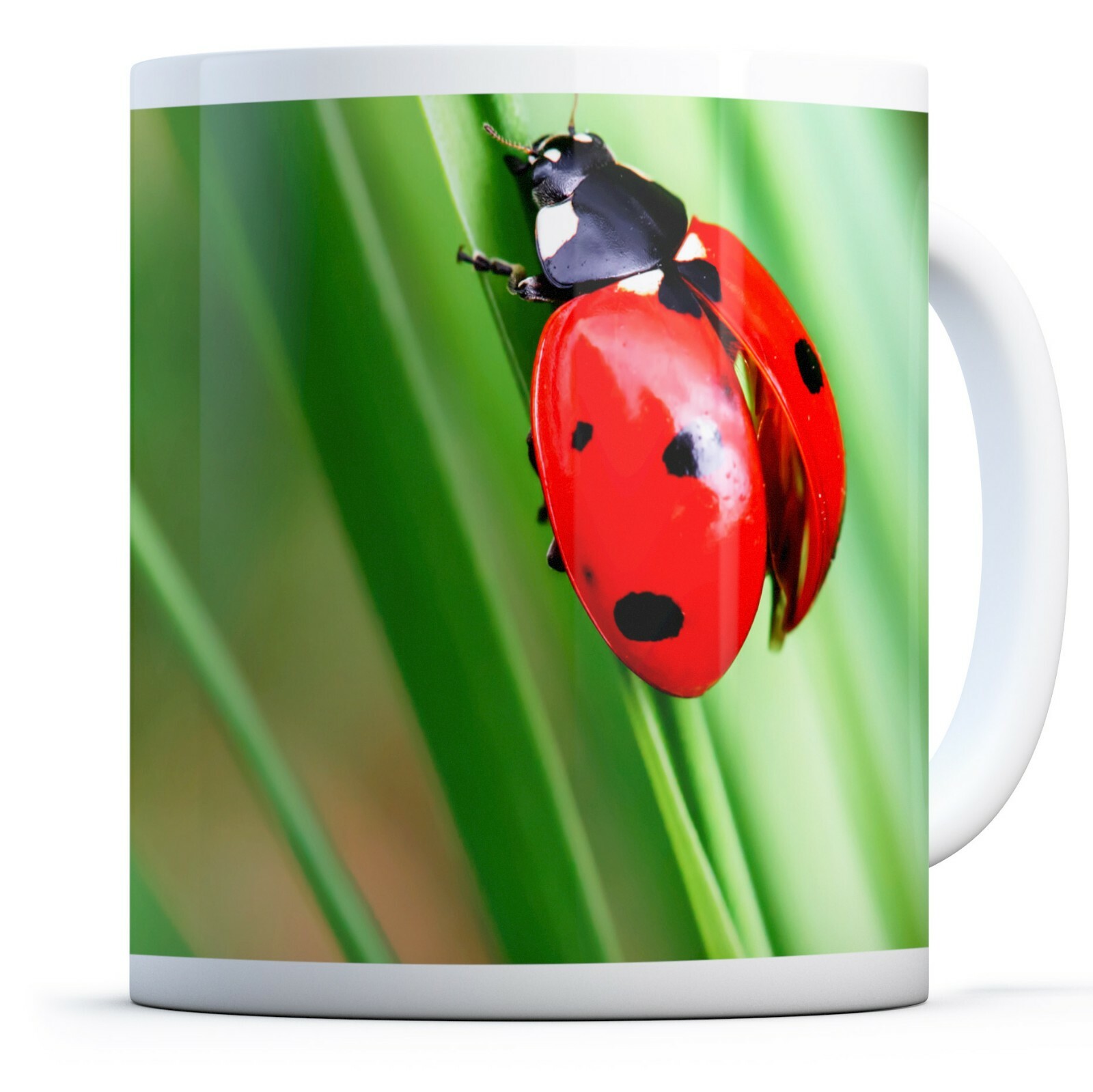 Pretty Ladybird - Drinks Mug Cup Kitchen Birthday Office Fun Gift ...