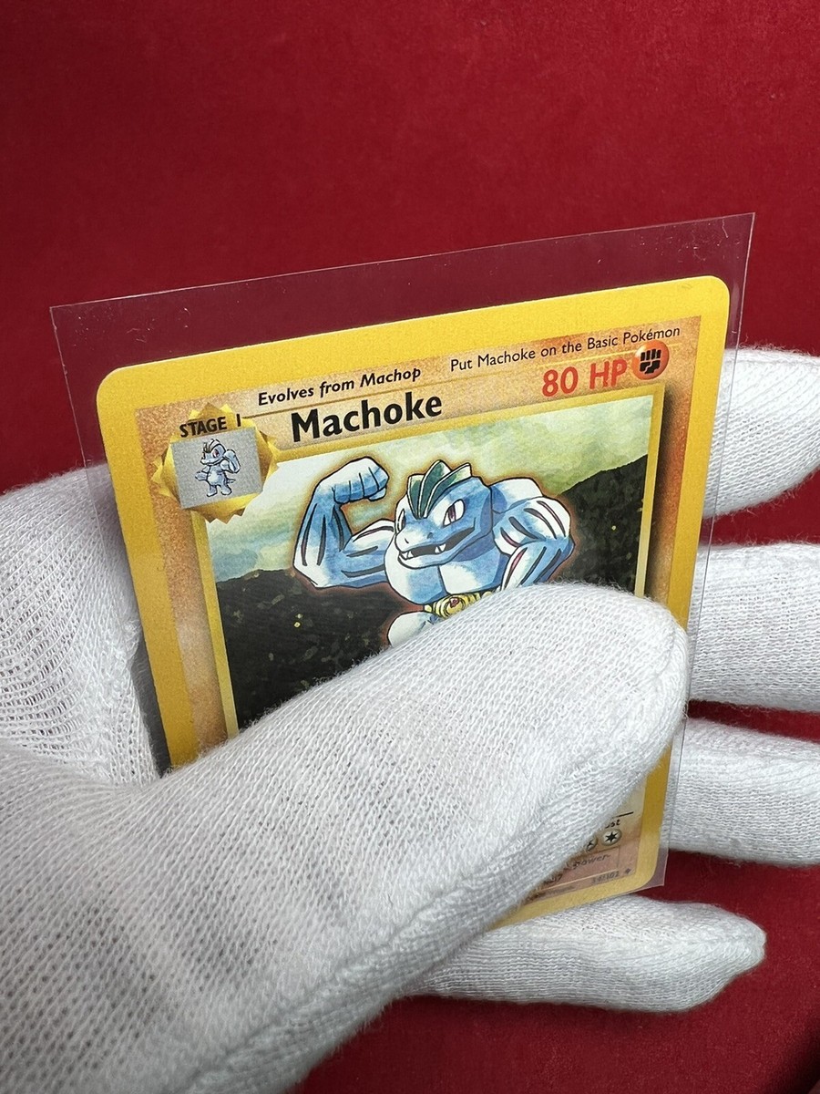 Machoke Gebruikte Pond Biotona Maqui Raw Bio Kopen Bij Holland