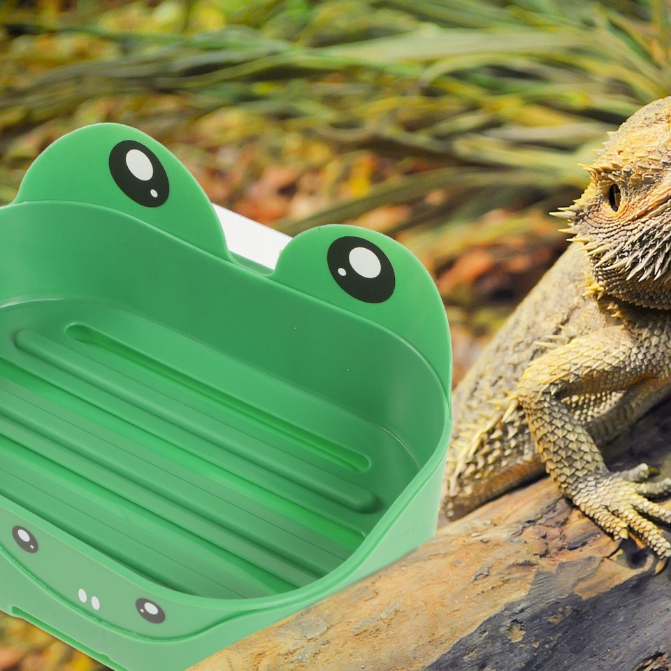 Plastic Frog Habitat Platform Delicate Reptile Rest Place Household ...