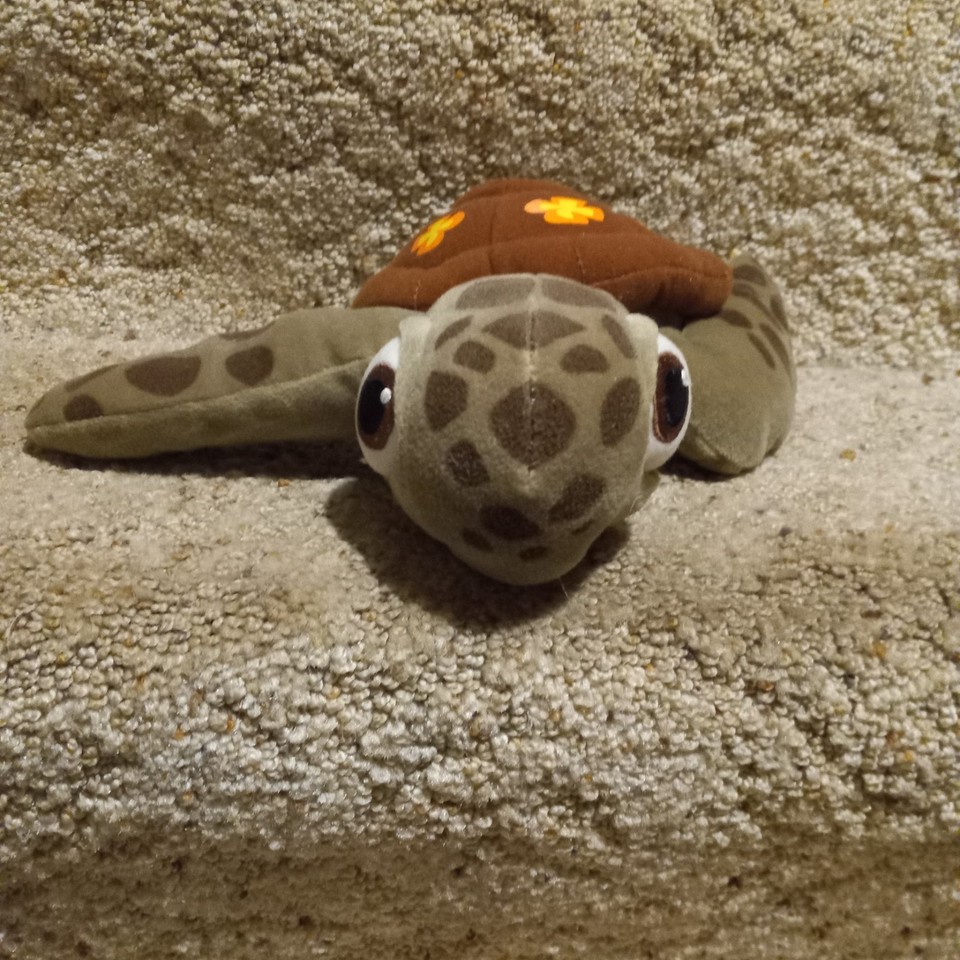 Rare Disney Store Finding Nemo Squirt Turtle Plush 14” | eBay