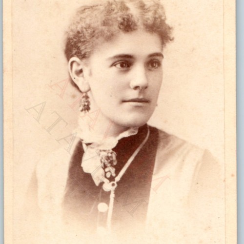 c1870s Chicago, IL CdV Beautiful Woman Photo Cute Lady Brand Illinois ...