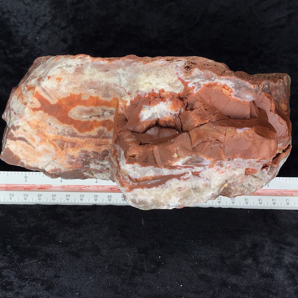 8" Large Red Orange Chalcedony Agate Geode Lapidary Rough Kentucky 7 ...