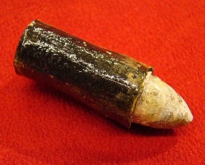 AMAZING DUG .50 CAL. US SMITH CARBINE BULLET W/INTACT RUBBER CASING-M&M ...