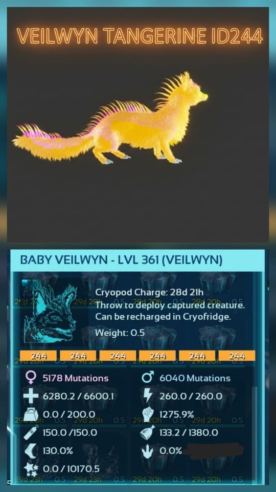 Veilwyn Top Status Ark Ascended Pve Official-ASA-Full collor dinos PC ...
