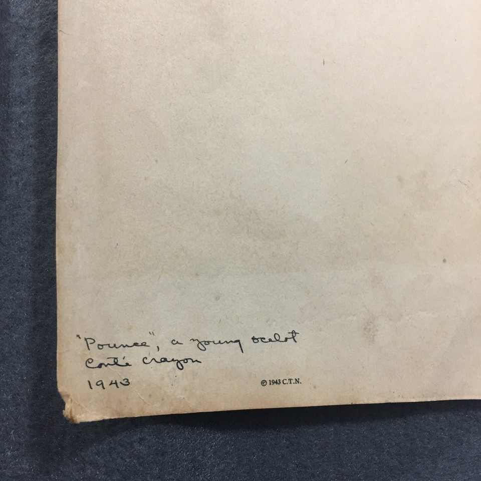 Vintage 1943 Pounce Clare Turley Ocelot Cat Cubs Prints 14 x 11" | eBay