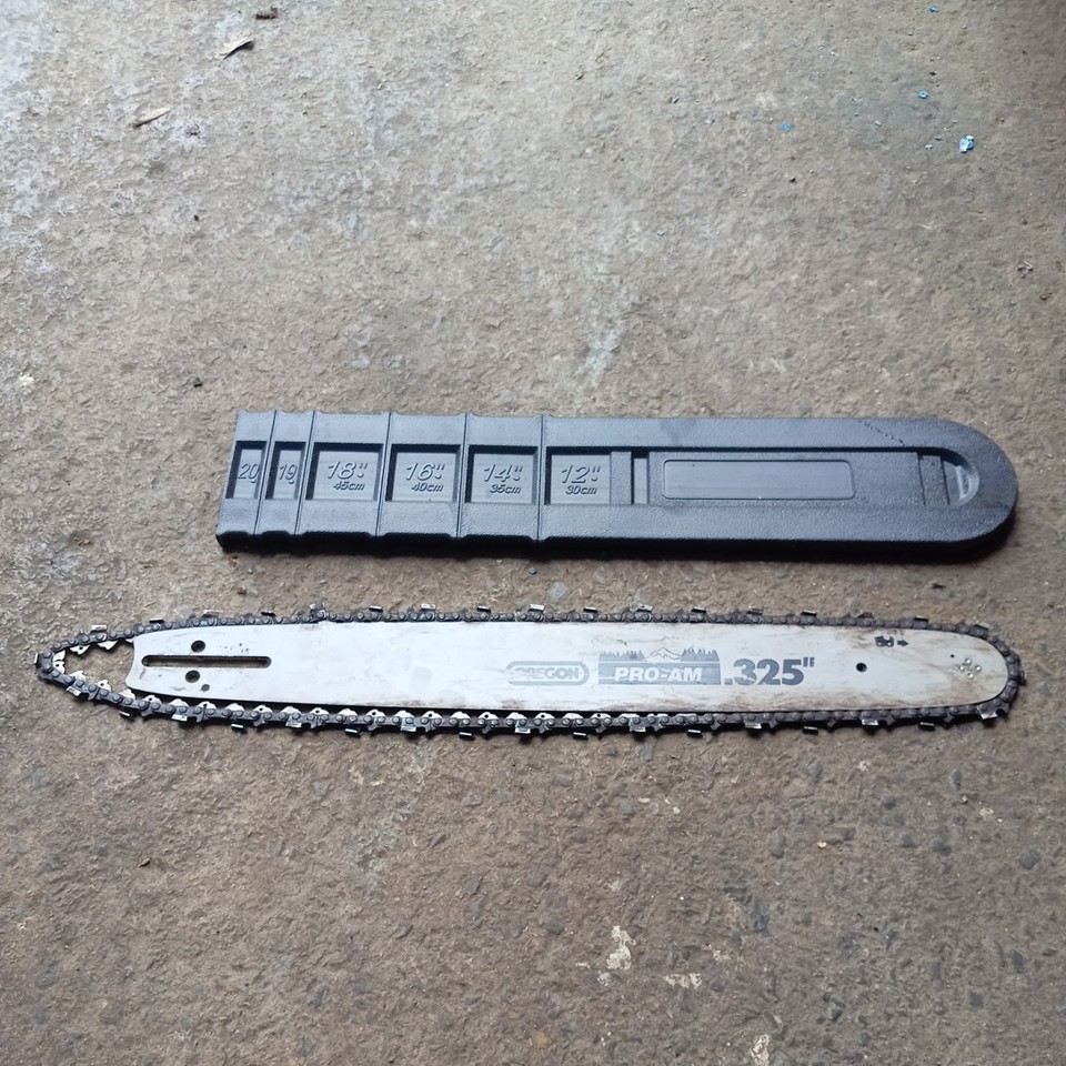 PARKSIDE PBKS 53 A1 PETROL CHAINSAW GUIDE BAR AND CHAIN | eBay UK