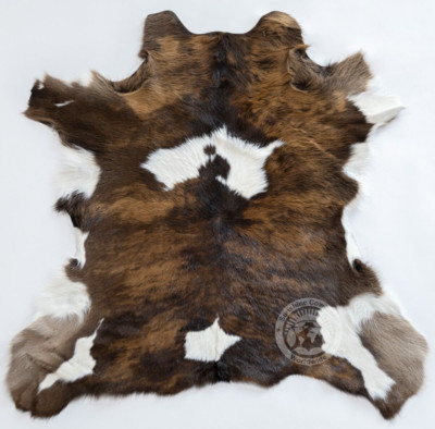 Real Calfskin Rug Honey Exotic - Small Cowhide Rug - Size 3 x 3' | eBay