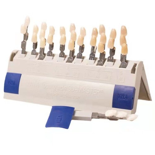 1 Kit VITA Resin Dental Toothguide 3D Master 29 Colors With Bleached ...