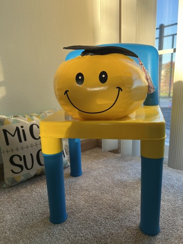Smiley Face With Graduation Cap Vinyl Pillow Ball Stuffed Collectible ...