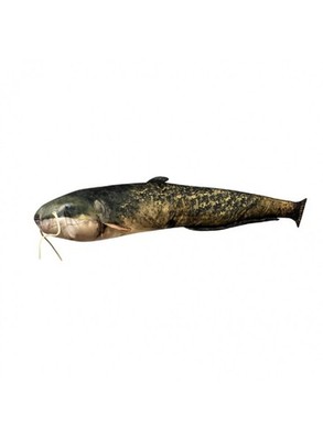 EnergoFish Catfish Pillow 50cm Realistic Soft Fishing Gift Decor Toy | eBay