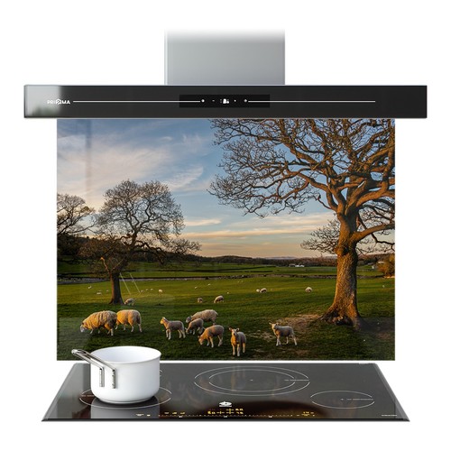 Glass Splashback Kitchen Cooker Panel ANY SIZE Tree Farm Field Baby ...
