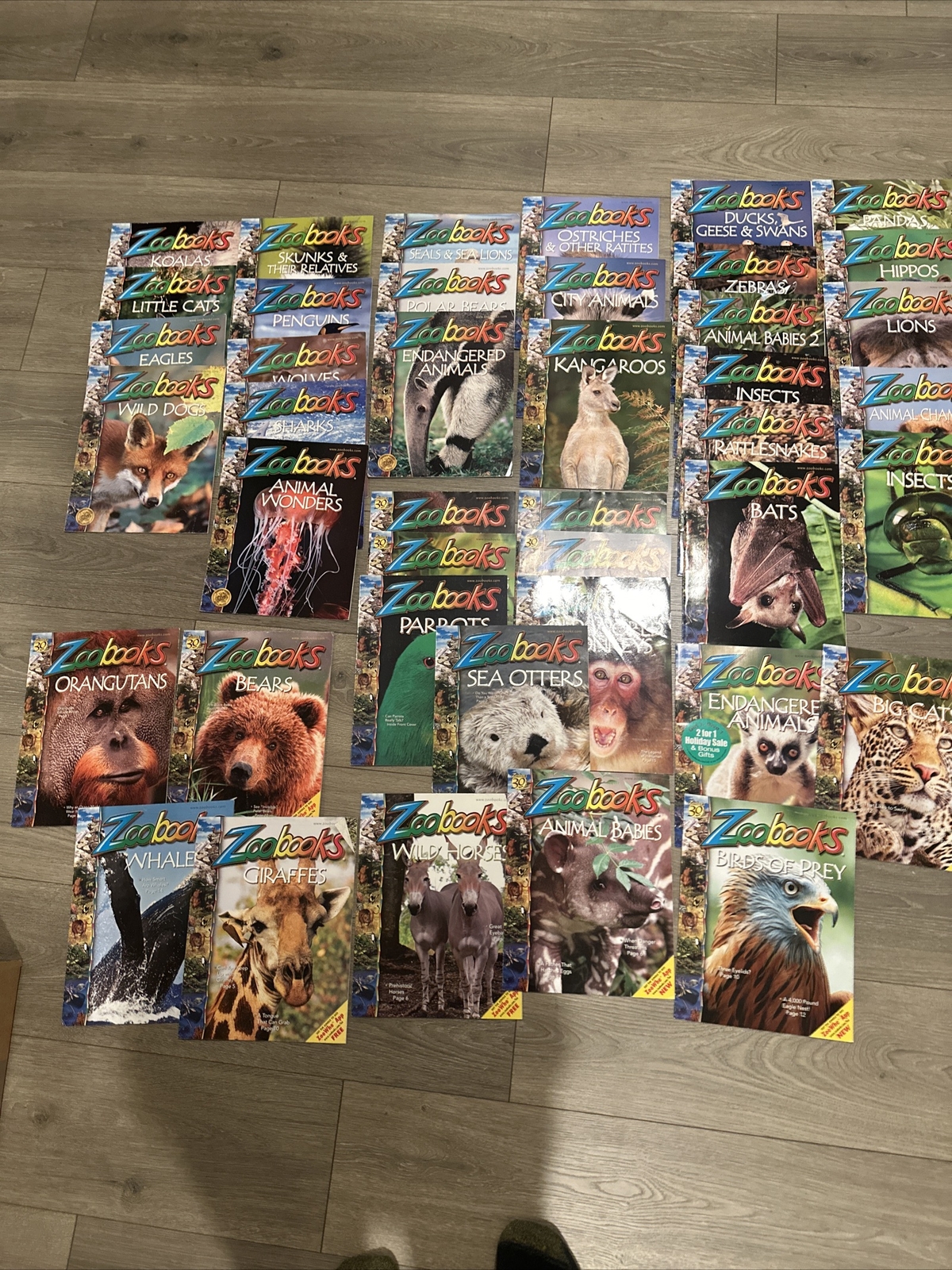 Lot of 42 ZOOBOOKS Magazines 2006-2011 Series | eBay