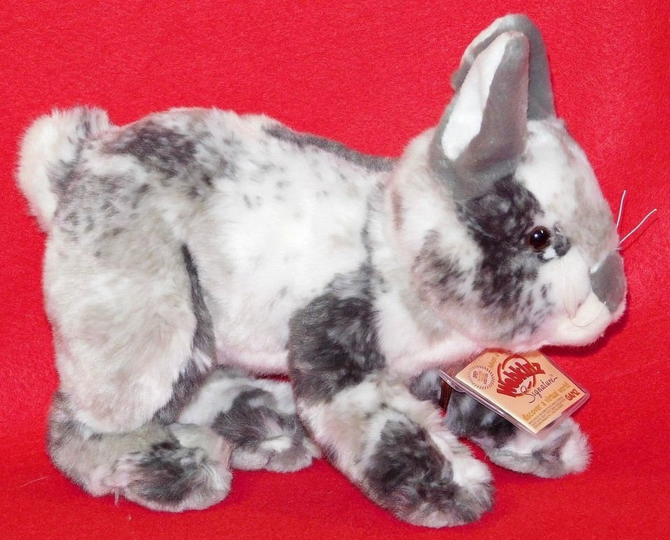 Webkinz Signature Collection Easter English Spot Bunny NWT New w Tags ...