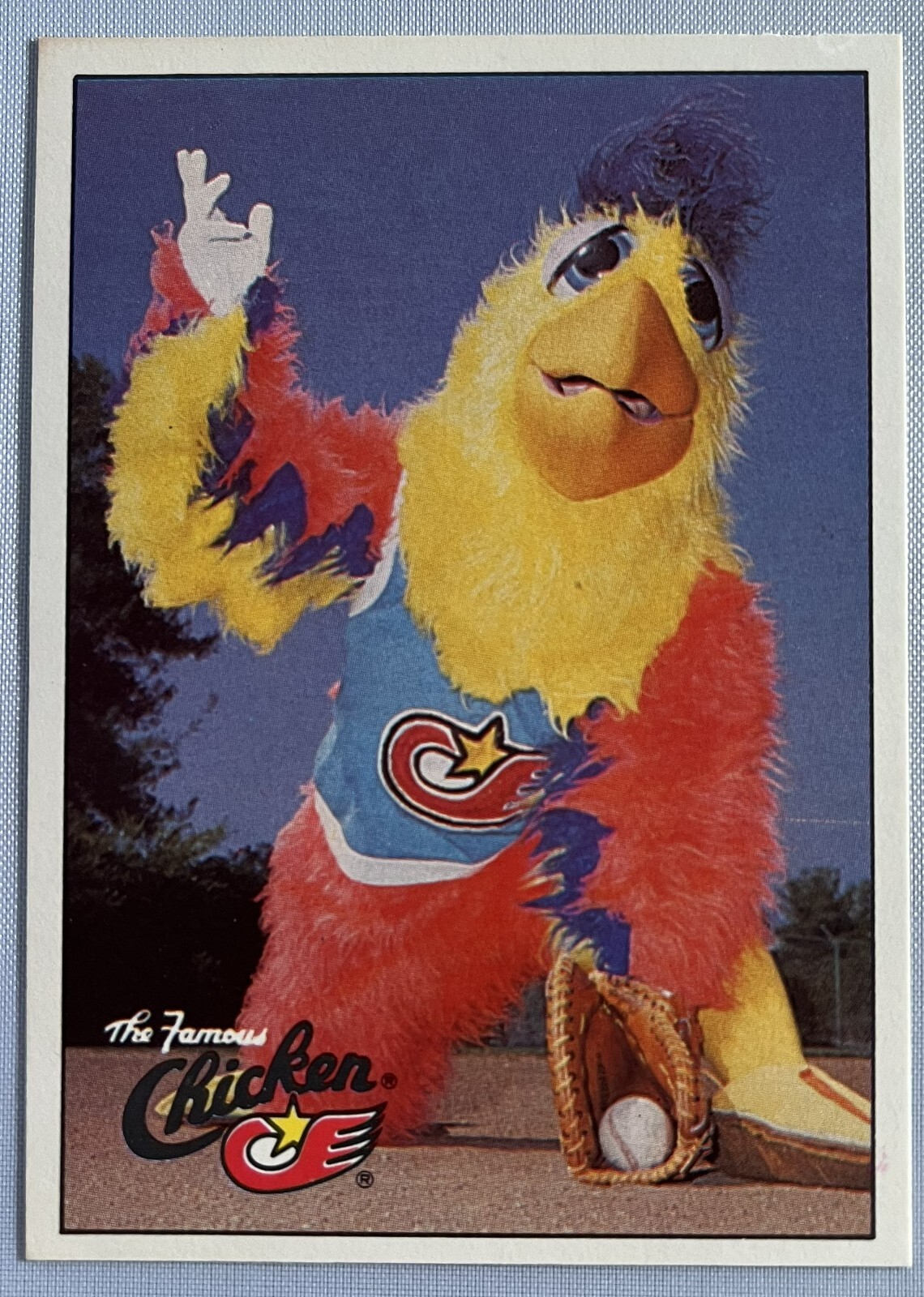 1983 The Famous CHICKEN San Diego Chicken Baseball Card #651 Donruss ...