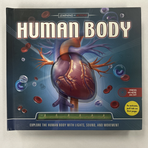 Learning in Action: Human Body (Explore The Human Body With Lights ...
