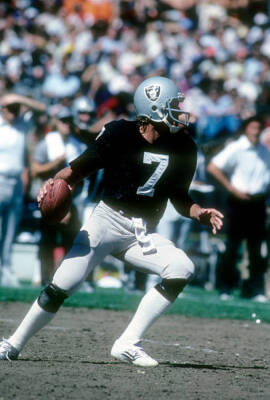 Quarterback Dan Pastorini 1980's NFL Photo 8 | eBay