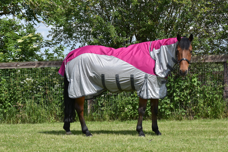 Horse Fly Rug 2 in 1 Waterproof Fly Rug With Turnout Top Hybrid Fly Rug ...