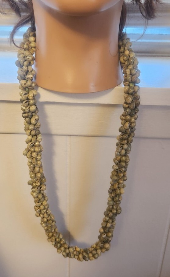 Hawaii Wedding Mongo Shell with Kukui Nut Lei Necklace | eBay