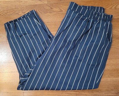 LuLaRoe Lena Work-Leisure Pant Size 3XL Navy & White Stripe, Ponte ...