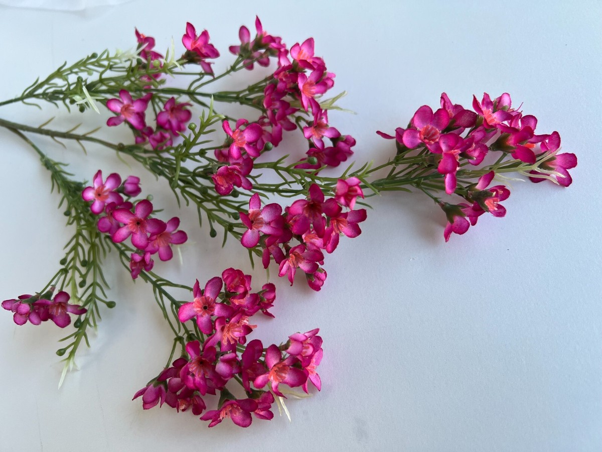 Purple Wax Flower Bouquet