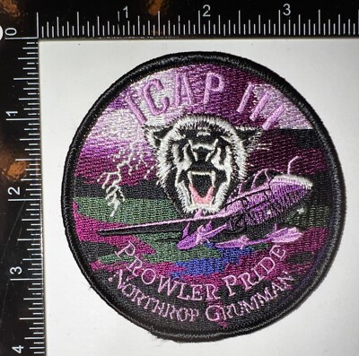 USN US Navy Northrop Grumman Prowler Pride TCAP III Patch | eBay