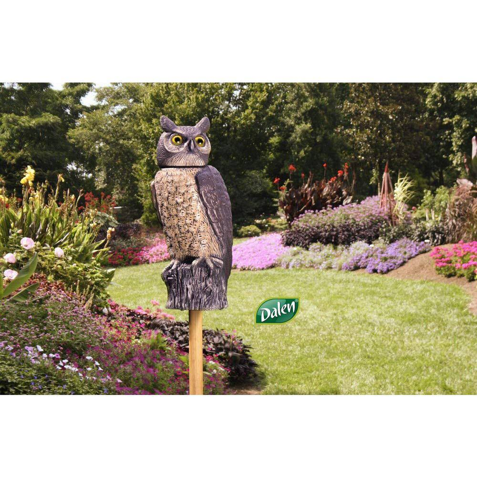 Outdoor Owl Realistic Scarecrow Solar Powered Head 18.5 In. H SOL-R ...