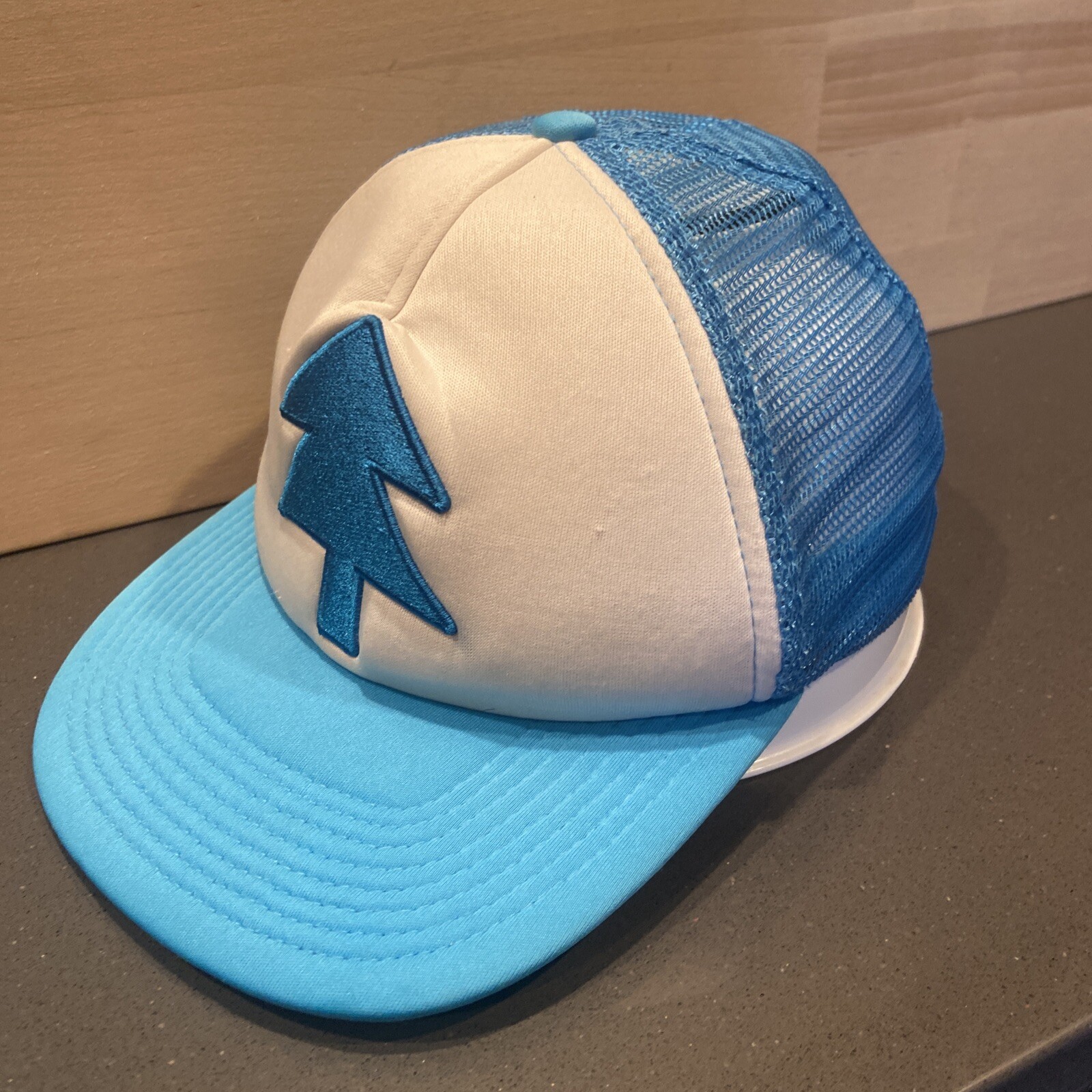 Gravity Falls Aqua Embroidered Dipper BLUE PINE TREE … - Gem