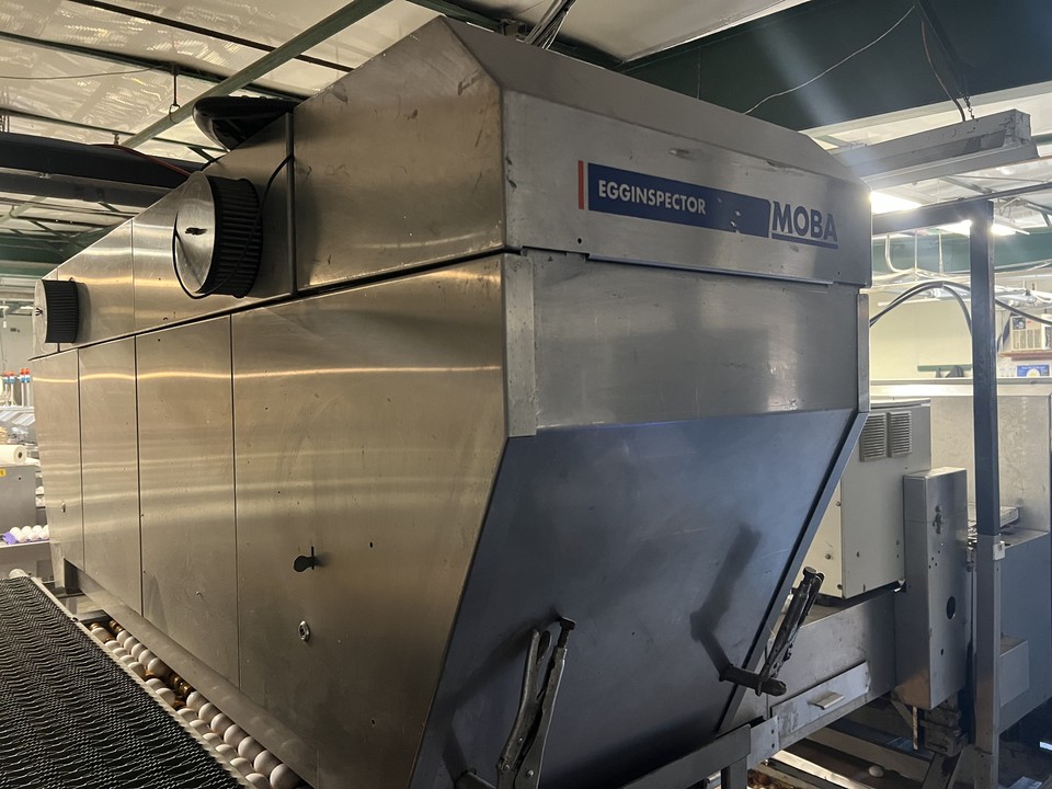 2000 Staalkat Selecta Egg Grader, Moba Dirt Detector and Kohl Washer ...