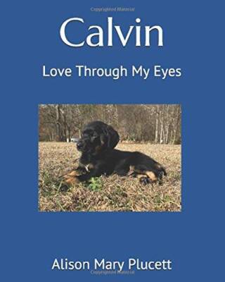 Calvin: Love Through My Eyes - Paperback By Plucett, Alison Mary - GOOD ...
