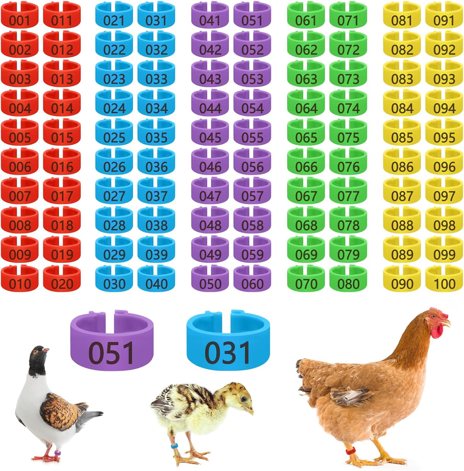 100 Pcs 16mm Plastic Chicken Leg Bands, Color-Coded Leg Bands for ...