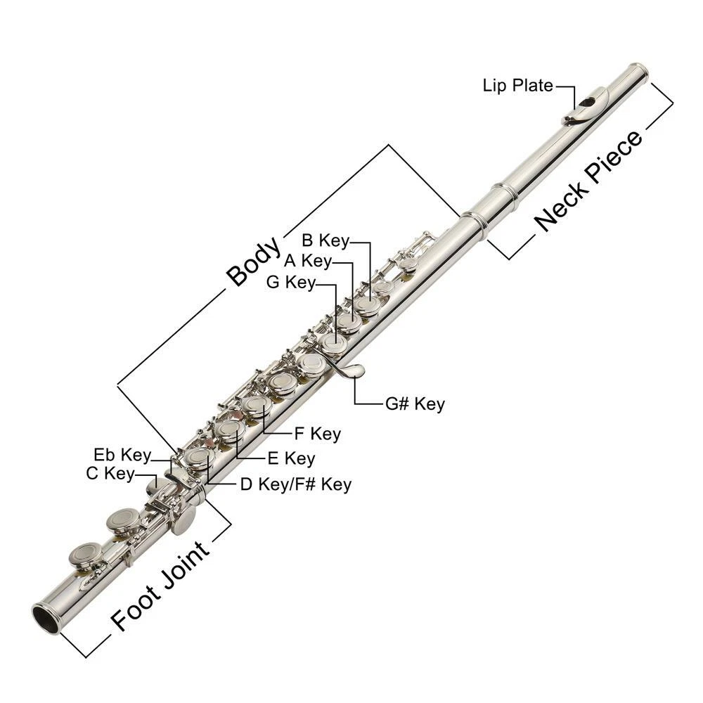 Flute Diagram Labeled