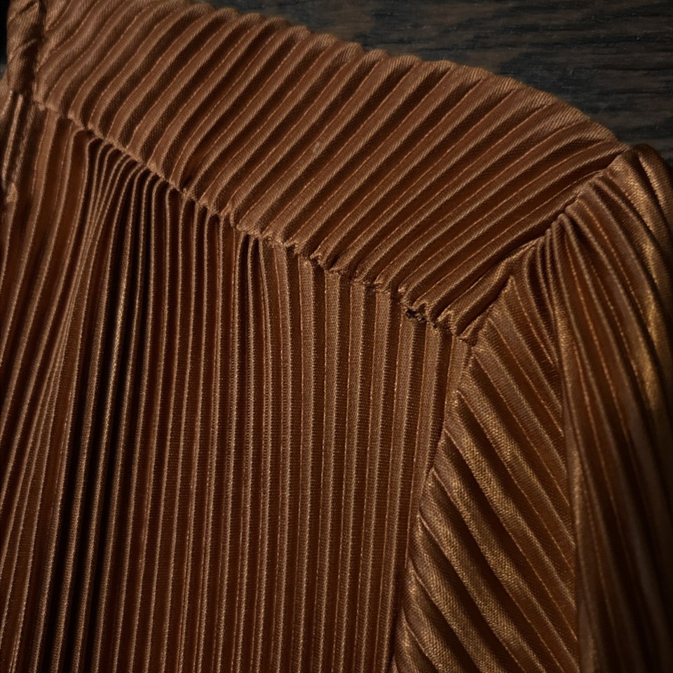 Baltic Born Rust Orange Athena Pleated Maxi Dress Sz XL Wedding Guest ...