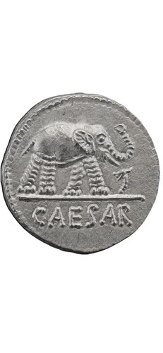 Roman Denarius of Caius Julius Caesar Elephant Solid Silver Modern Coin ...