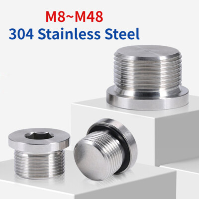 Metric Male Thread Hex Socket Pipe Plug 304 Stainless Steel M8-M48 | eBay