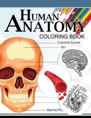 Dr Michael D Clark Human Anatomy Coloring Book (Tascabile) | eBay