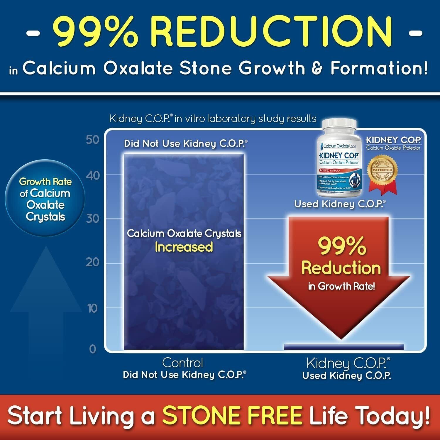 (3) Kidney COP Calcium Oxalate Protector 120 Capsules, Patented Kidney ...