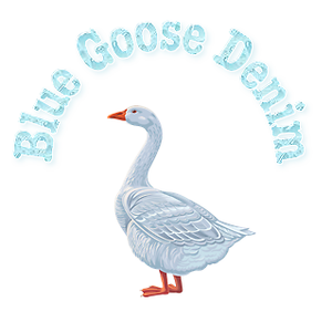 Blue Goose Denim | eBay Stores