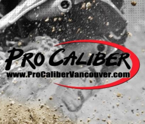 PRO CALIBER MOTORSPORTS | eBay Stores
