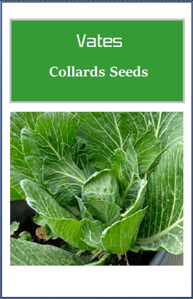 Vates Collards Seeds | Heirloom Collards Seeds | Fresh NON-GMO Garden ...