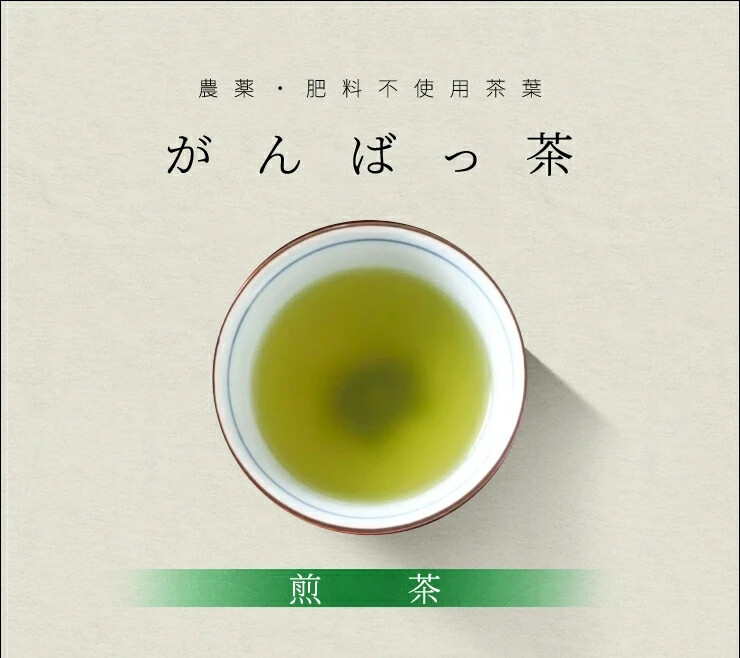 Ise tea Sencha tea bags 30 bags (15 bags x 2) Tea Pesticide-free ...