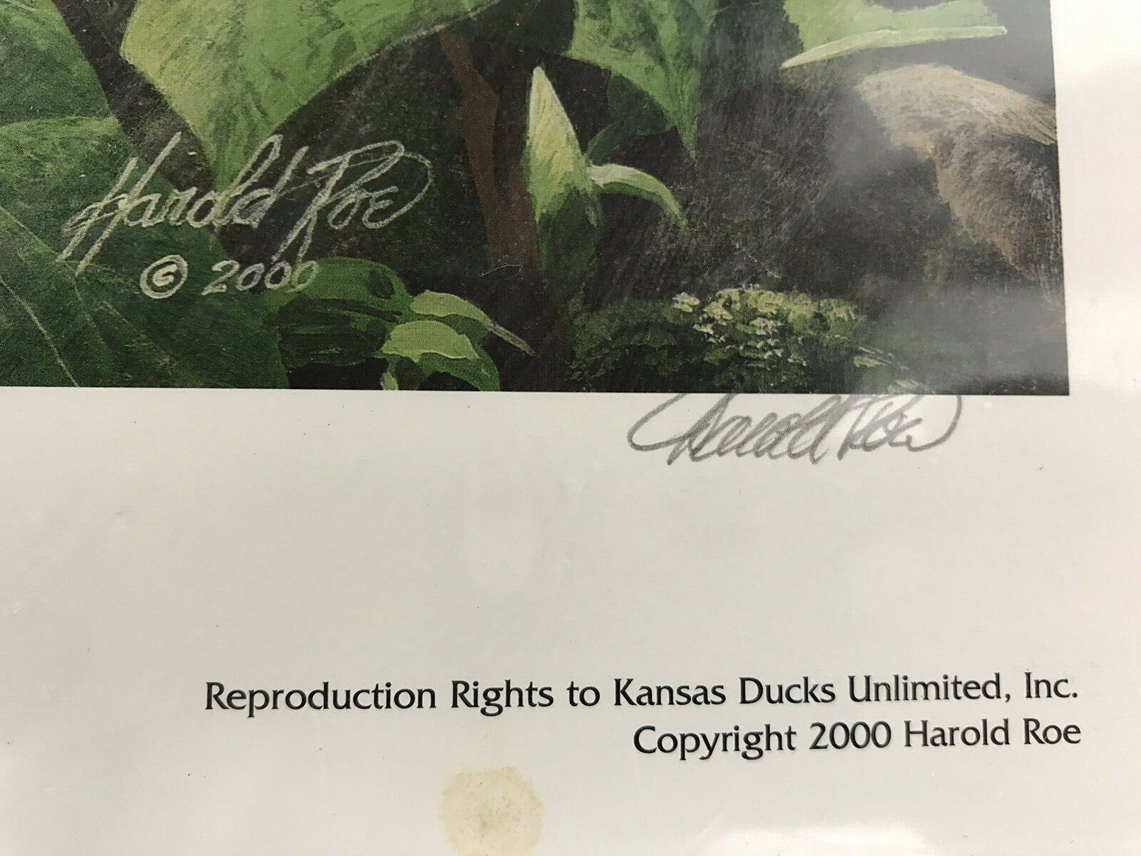 Ducks Unlimited Print 2000 "That's My Blind" Pheasants Harold Roe ...