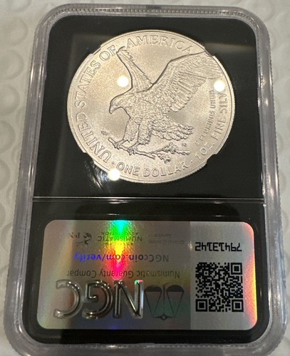 2024 P $1 American Silver Eagle Star Privy! NGC MS70 Exclusive Red Book ...