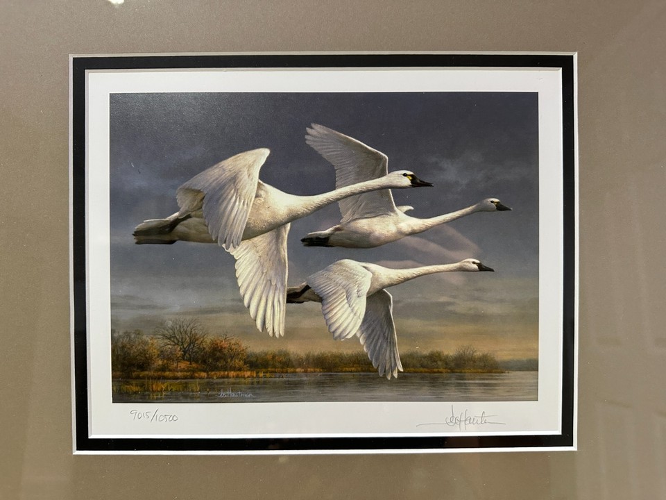 WTDstamps - RW90 2023 - Federal Duck Stamp Print **JOE HAUTMAN** NICELY ...