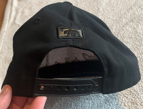 Top Level Snapback Hat, Bear, California Republic, Hat, Cap, Palm Trees ...