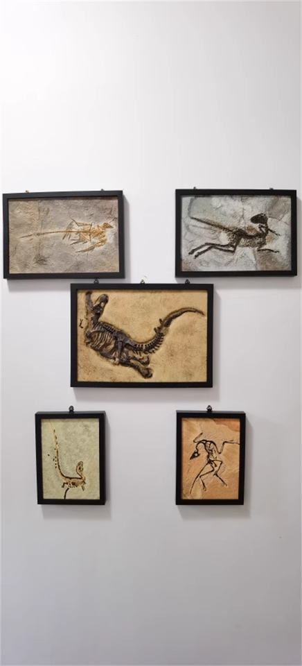 Vitae Archaeopteryx Dinosaur Skeleton Fossil Plate Photo Frame Table ...